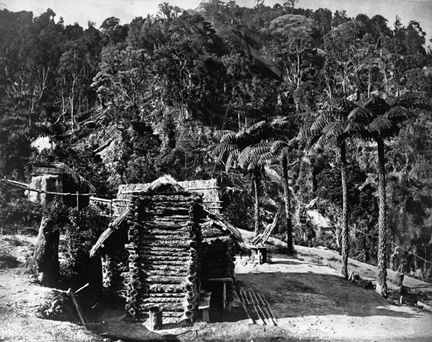 Punga Flat: A Goldminers' Settlement