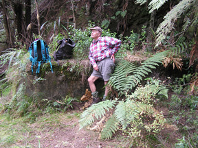 Railey's Battery: Waitawheta Gorge