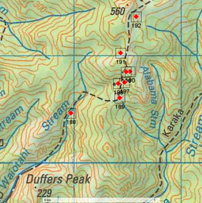 Punga Flat: A Goldminers' Settlement