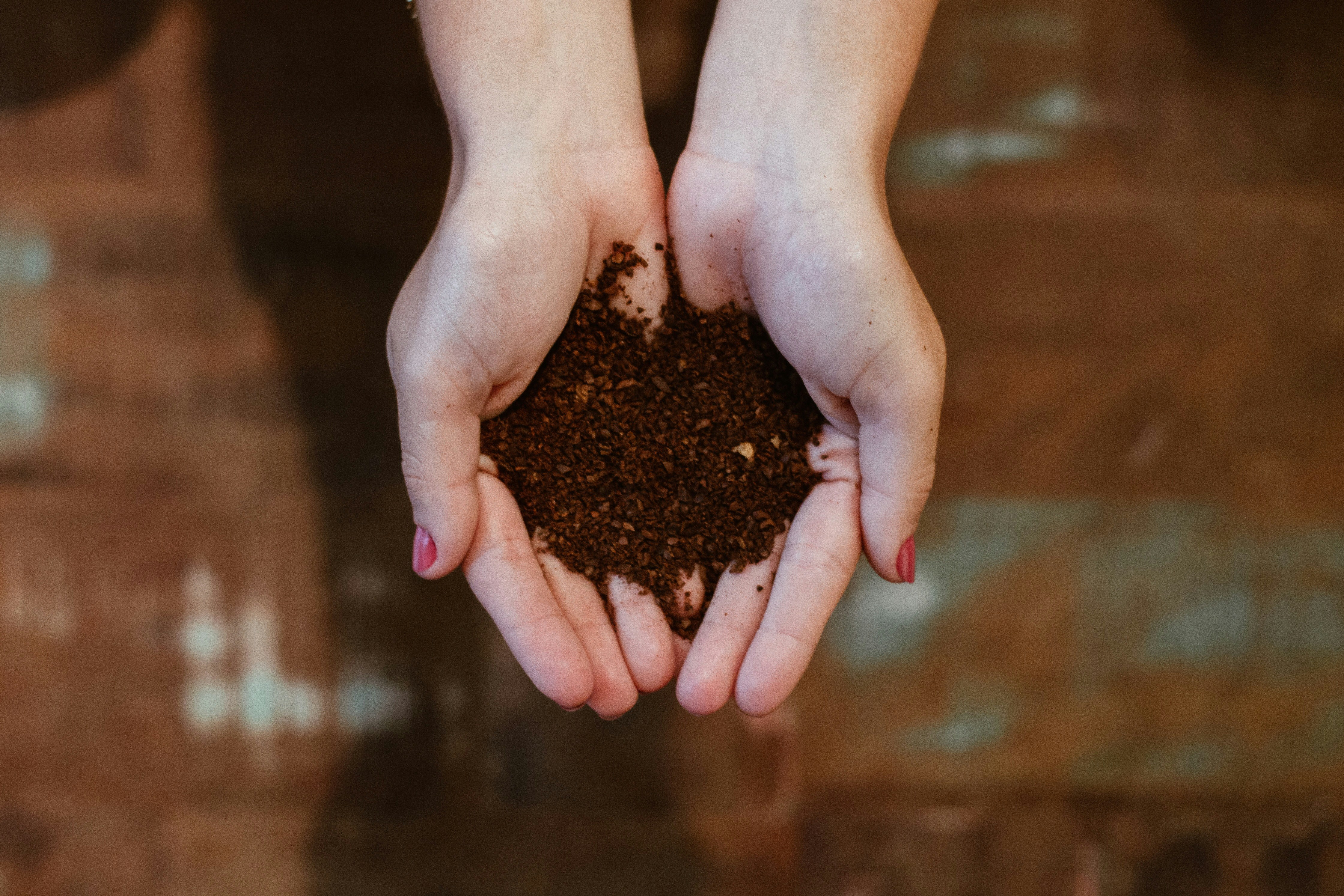 Green Hospitality: A Guide to Successful Composting in Hotels | Waste ...