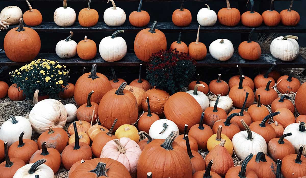 Understanding Minimum Order Quantity: Your Go-To MOQ Guide