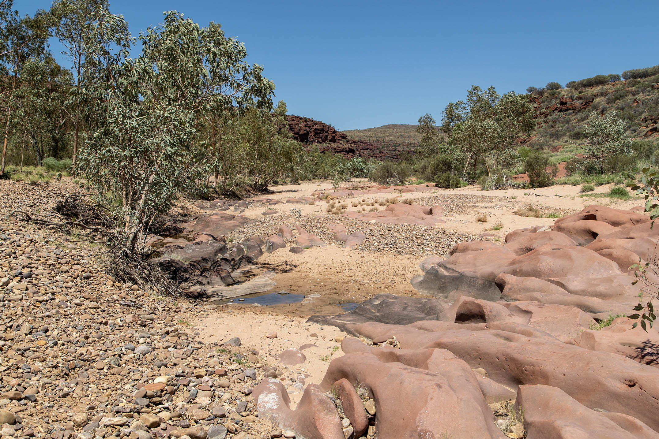 Finke River journey