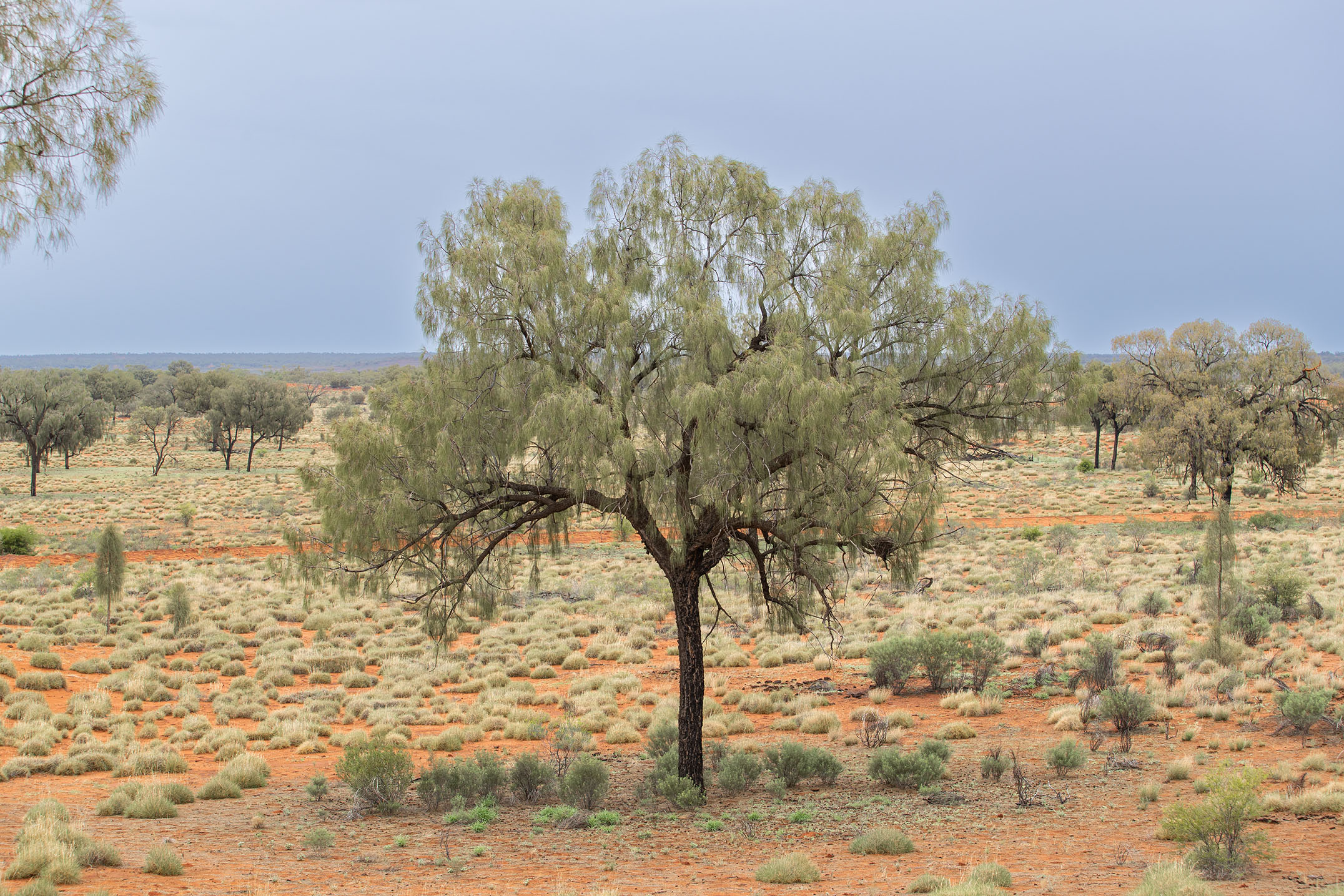 Finke River journey