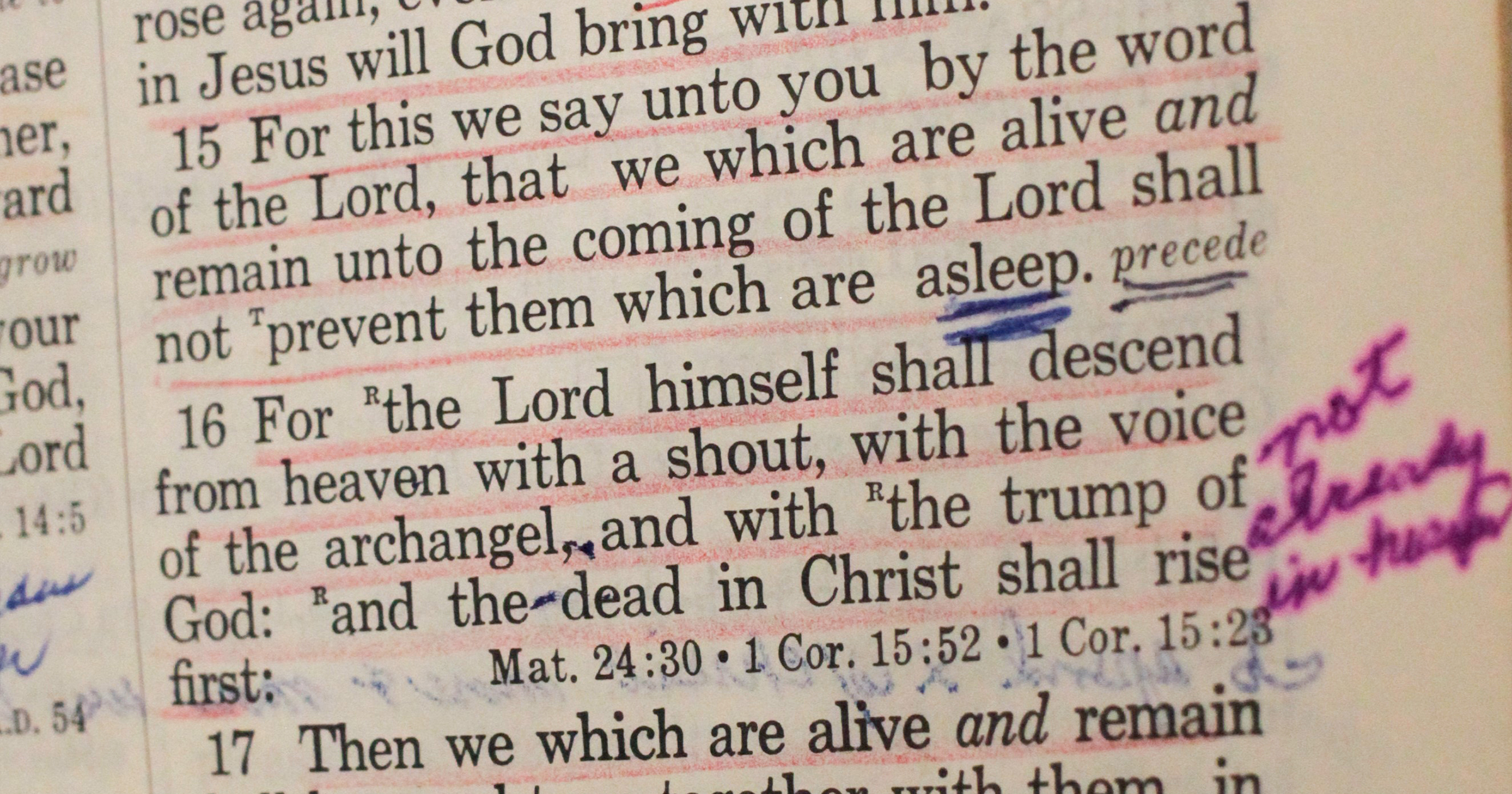 The Meyer Legacy - Texas | The Record