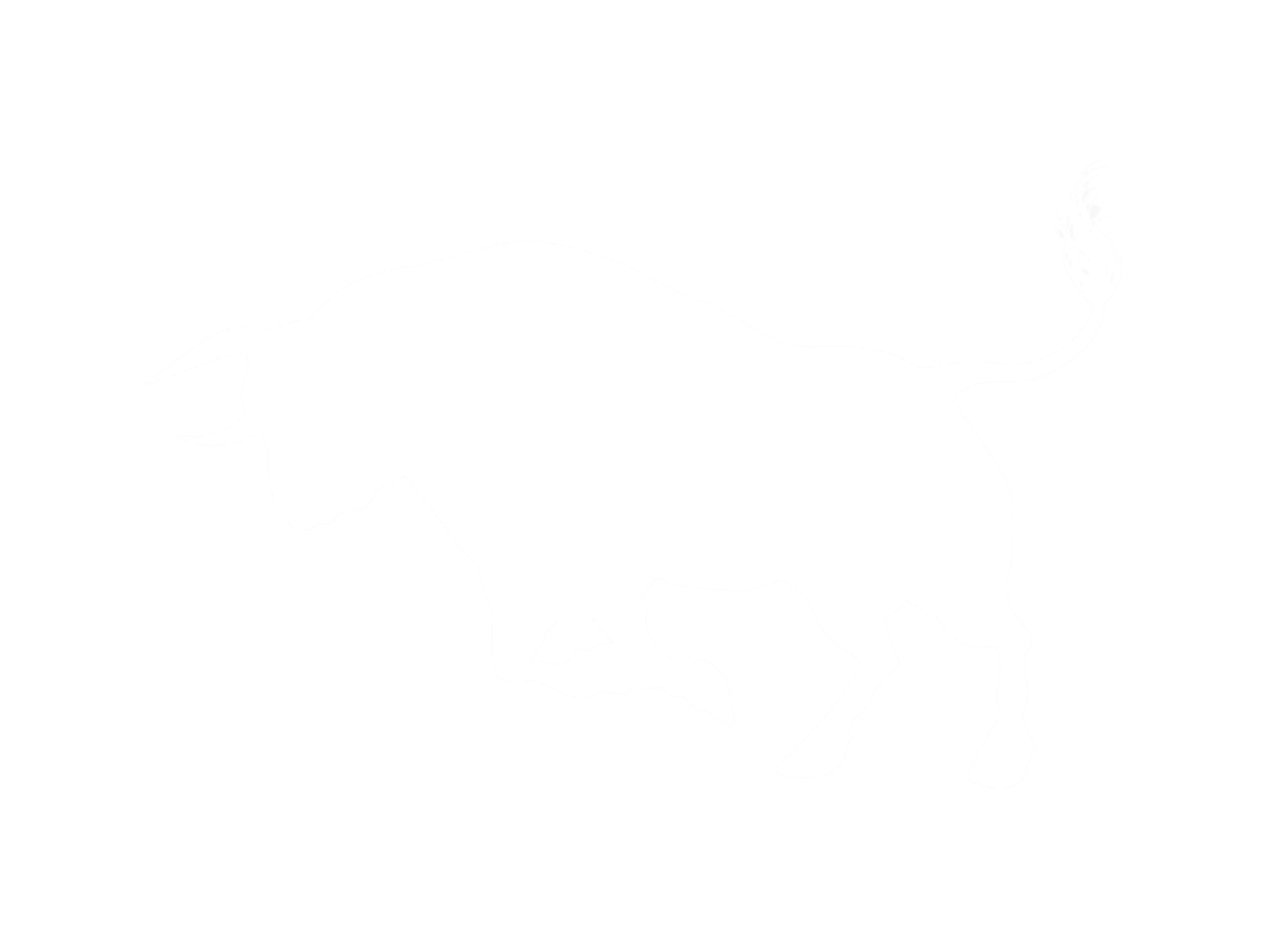 Home | Black Bull Biochar