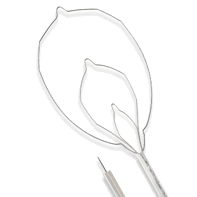 Snares | Gastroenterology