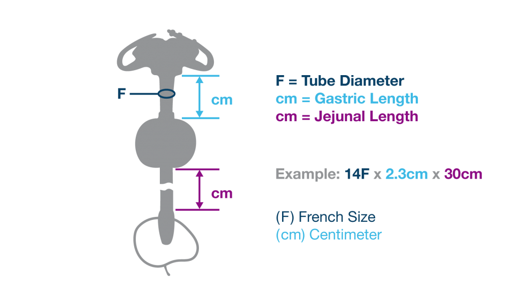 G-JET® | Enteral Feeding