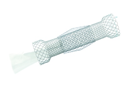 Esophageal Stents | Gastroenterology