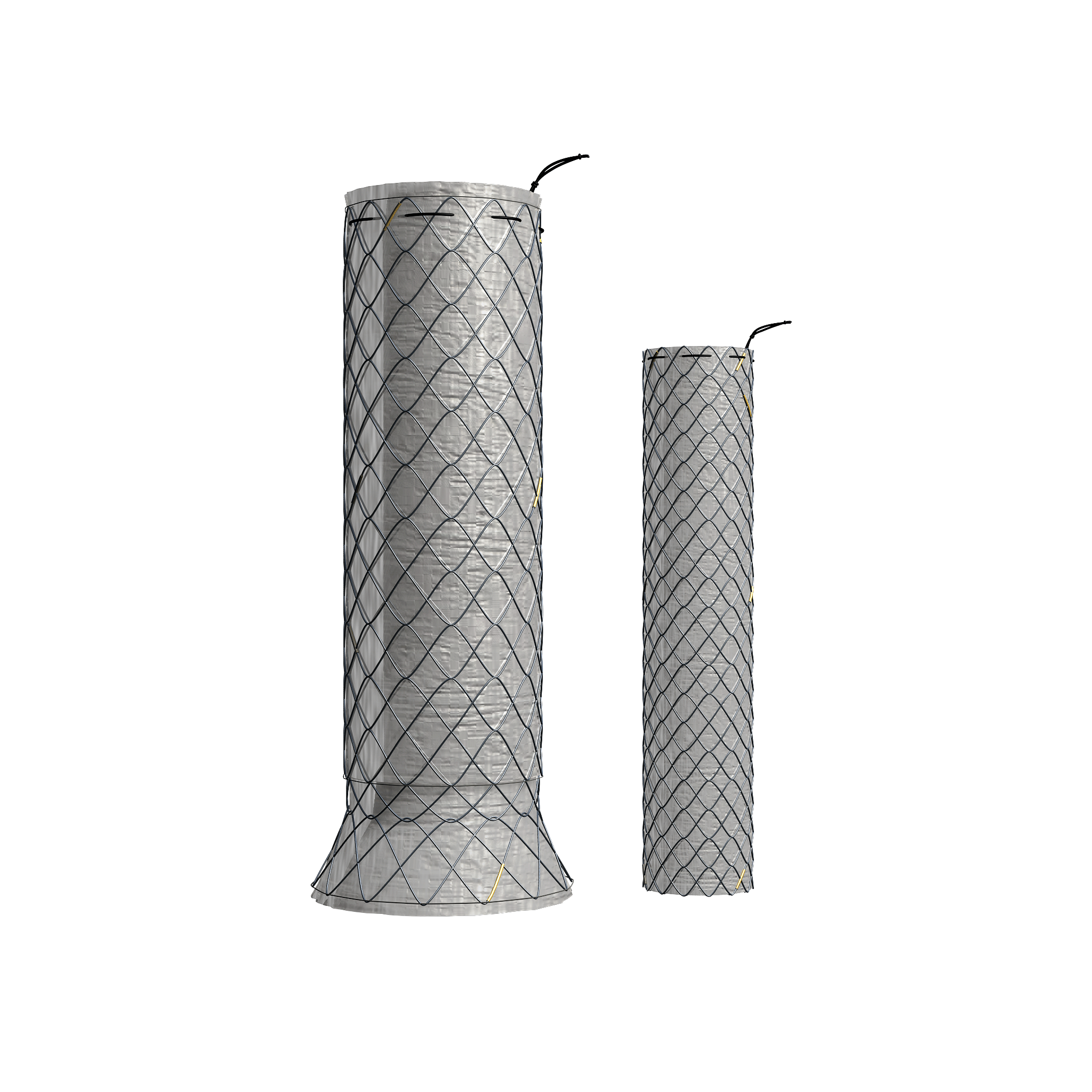 Esophageal Stents | Gastroenterology