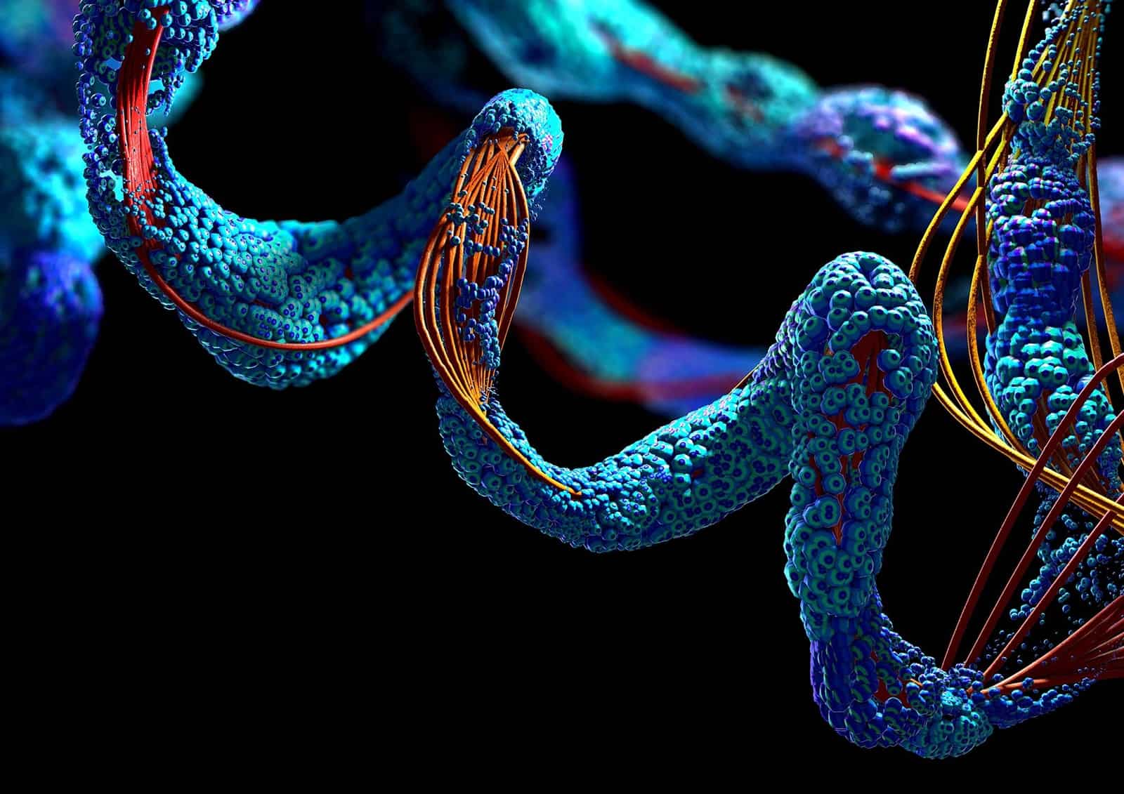 Secondary Structural Characterization of Peptide Therapeutics | RedShiftBio