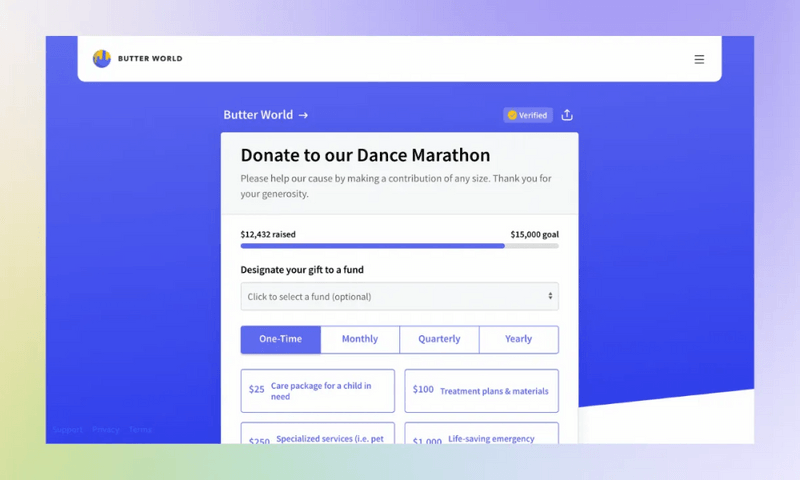 Free Donation Form Template & 12 Successful Examples | Givebutter