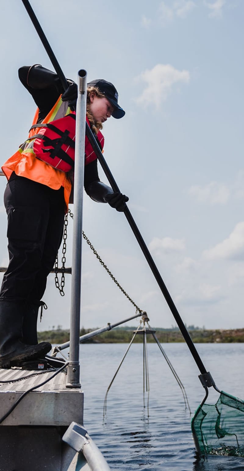 Protection and Monitoring