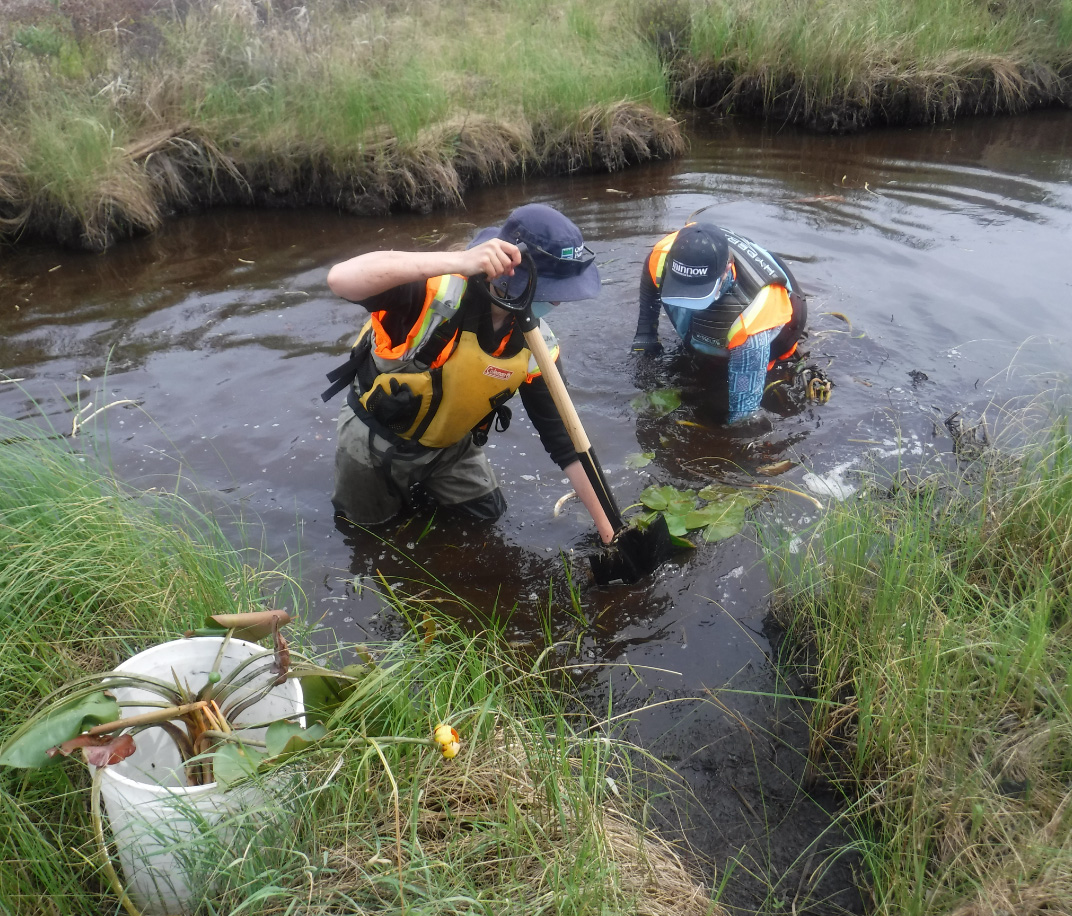 Biodiversity and Preservation