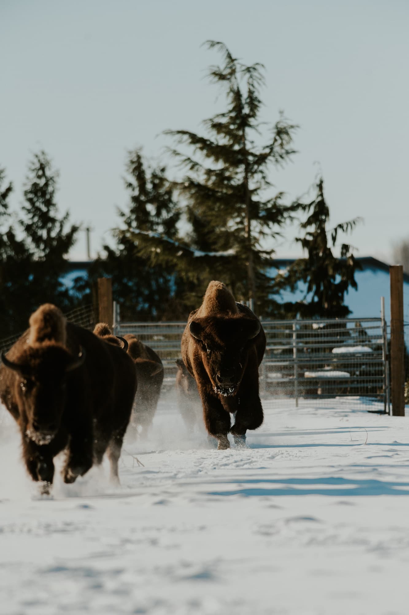 The Lodge Photo Gallery | Fraser River Lodge
