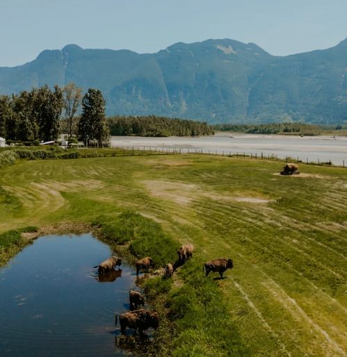 Getaway Adventure in BC | Travel | Fraser River Lodge