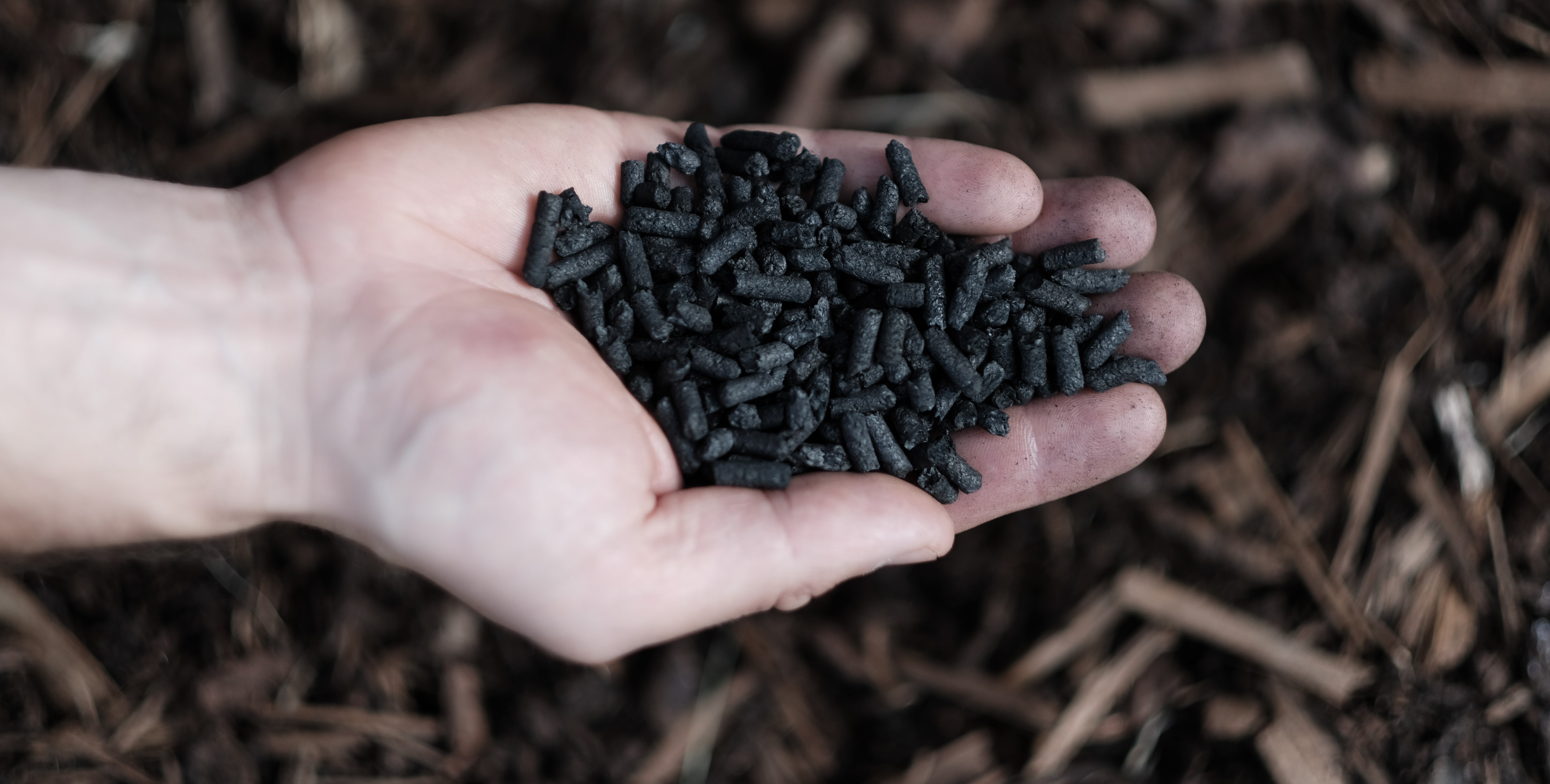 Black Bull Biochar