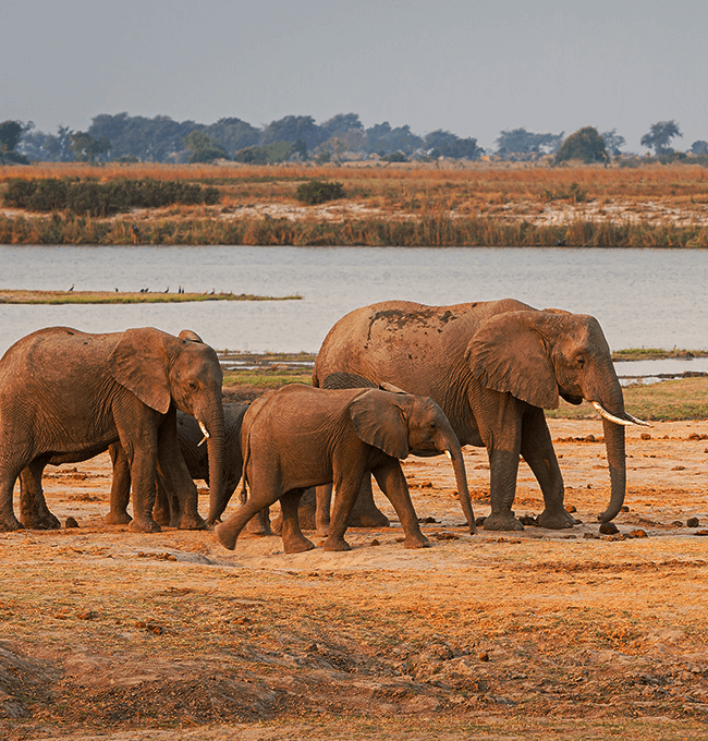 Hire Remote Employees | Niger | Remote Workpay