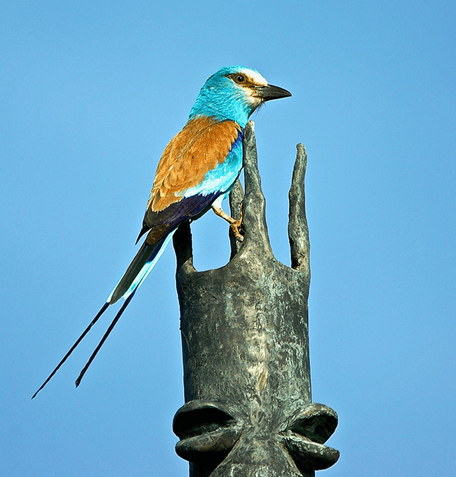 Hire Remote Employees | Burkina Faso | Remote Workpay