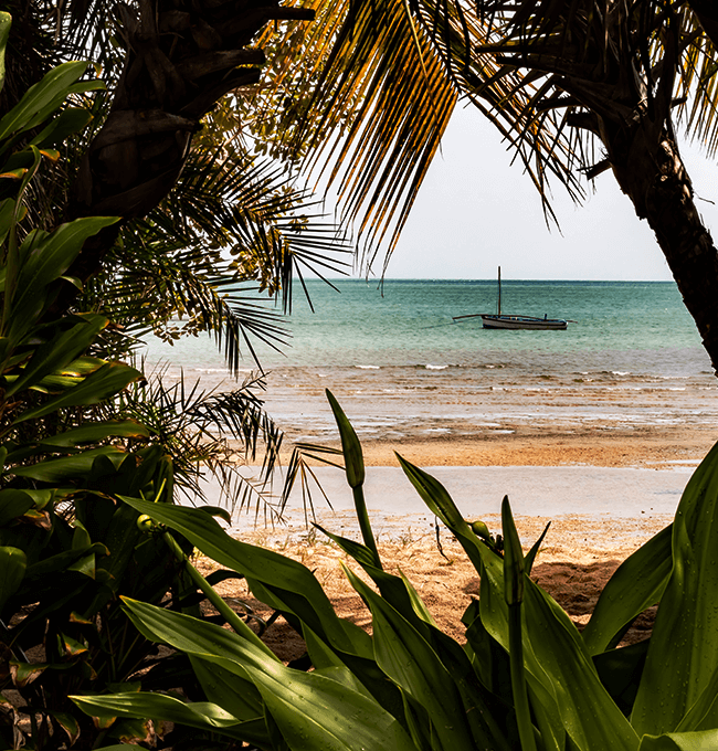 Hire Remote Employees | Mozambique | Remote Workpay