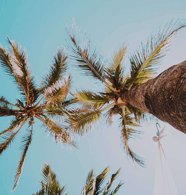 Hire Remote Employees | Liberia | Remote Workpay