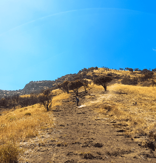 Hire Remote Employees | Central African Republic | Remote Workpay