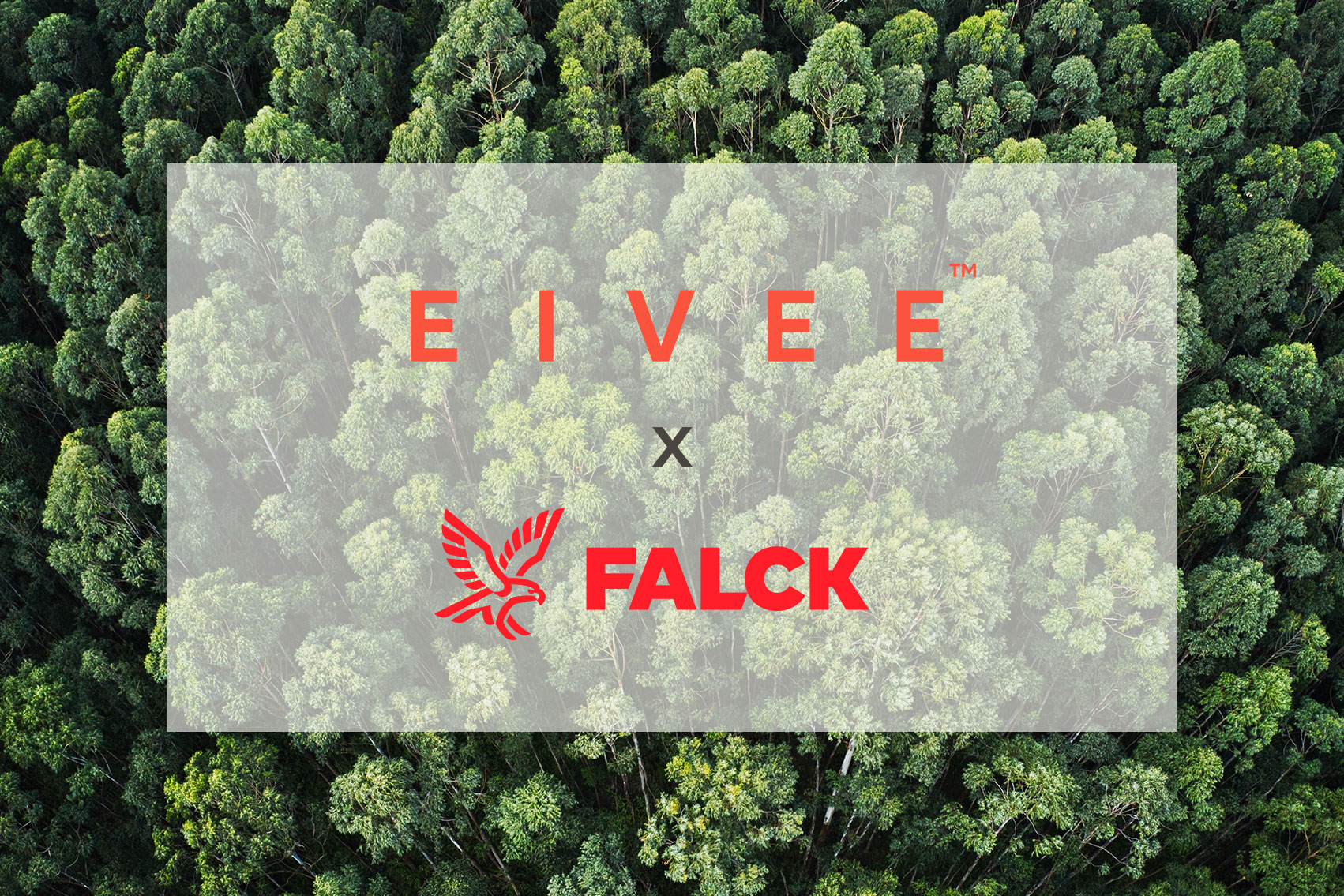 How Falck developed insights into their carbon footprint | EIVEE