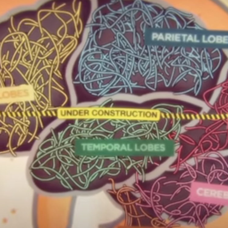 Under Construction: Alcohol and the Teenage Brain - CODE
