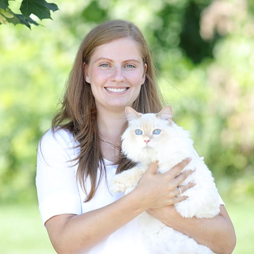 hound | veterinary staff recruitment & retention software