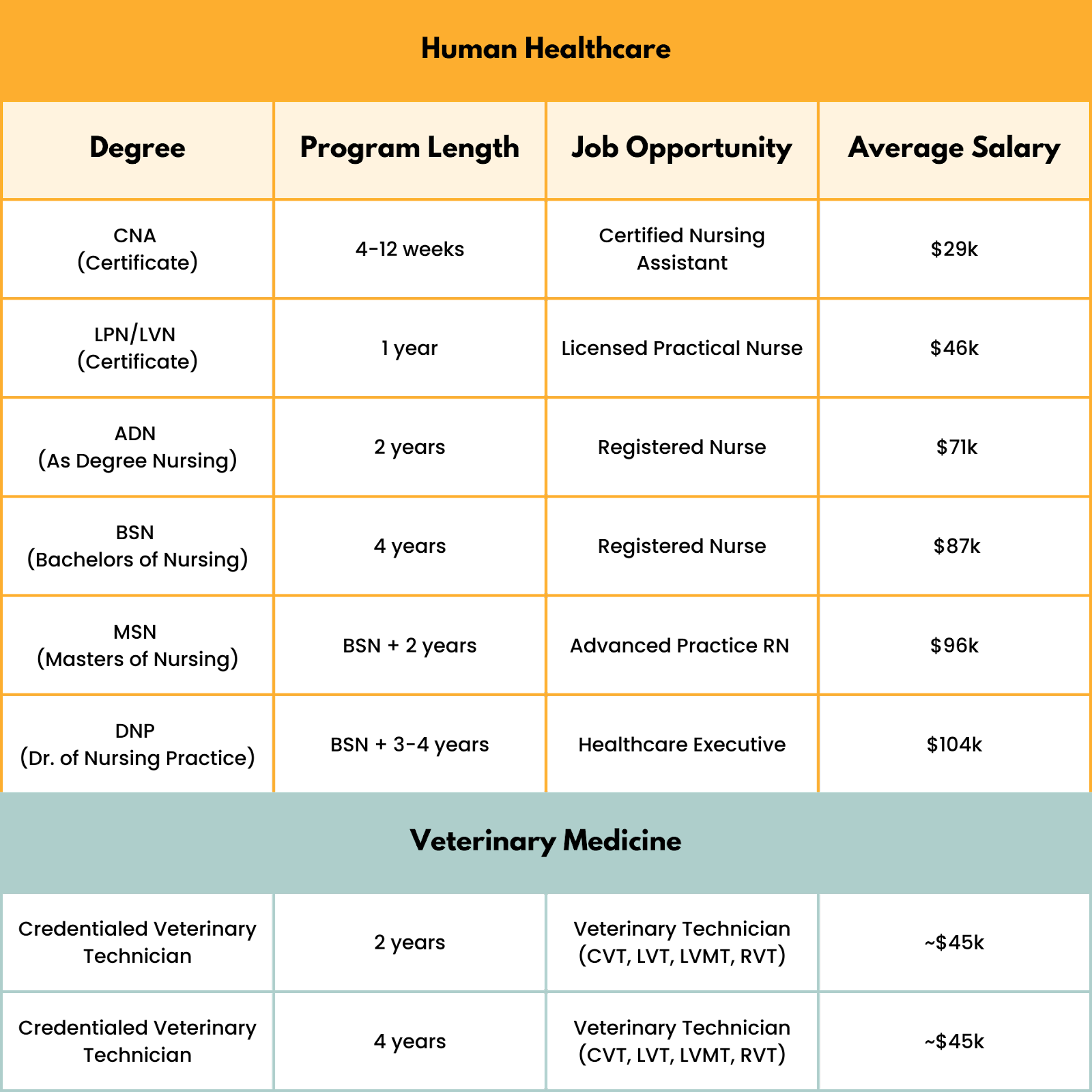 The Future of Veterinary Technicians & Their Role in Veterinary Medicine