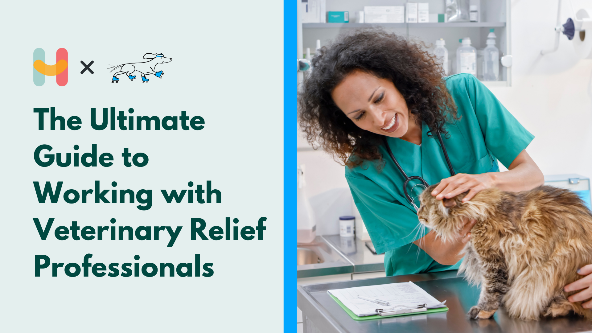 Guide to Working with Veterinary Relief Professionals