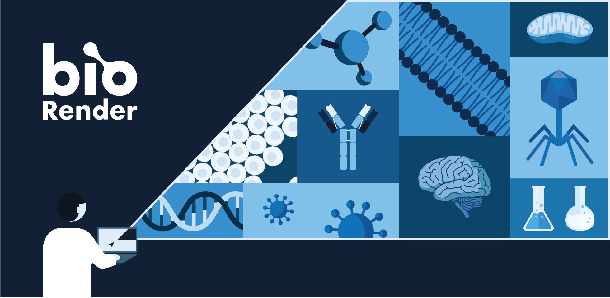 Biorender careers