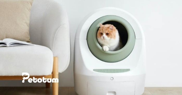 The Ultimate Guide to Automatic Cat Litter Boxes