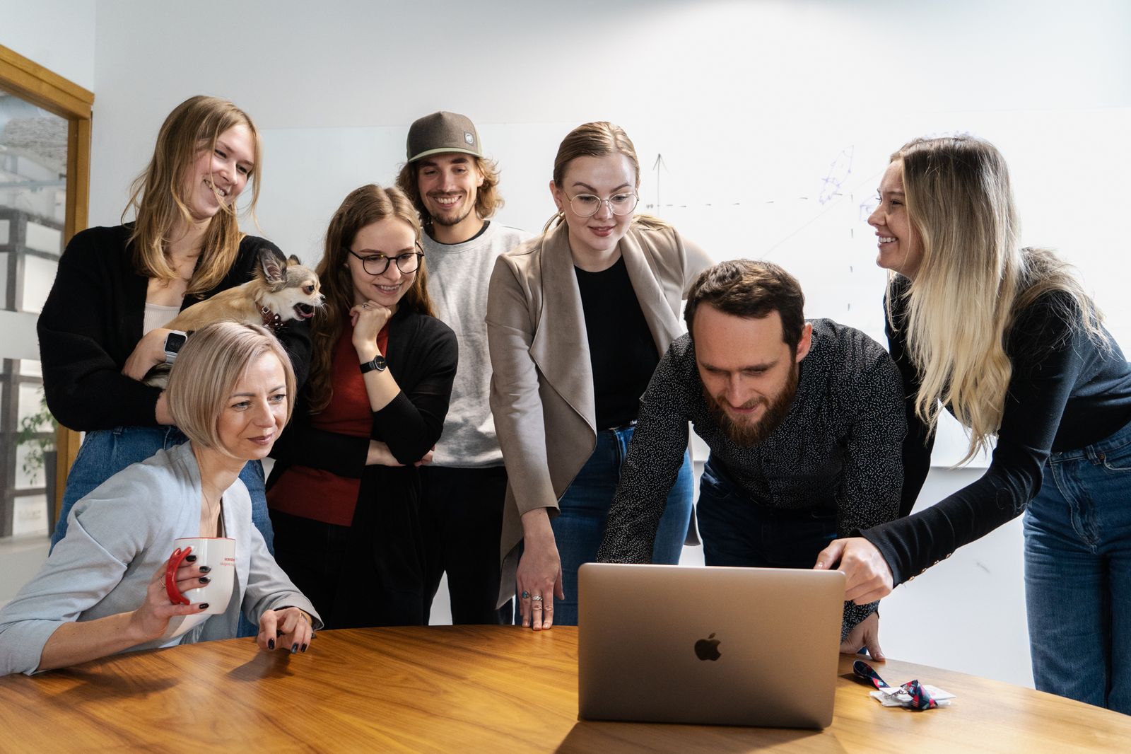 Jobs in Development / Tech Department |Scandiweb