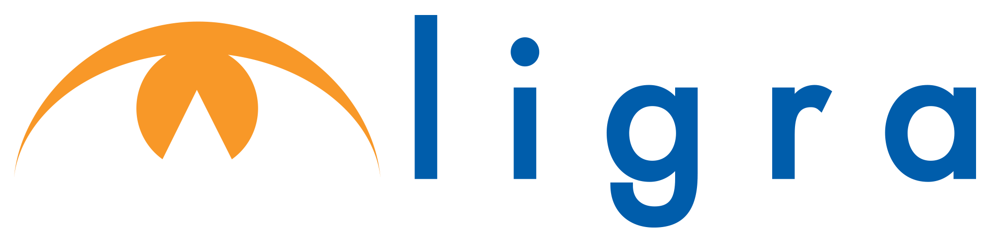 Algor Education | La migliore App per mappe concettuali online