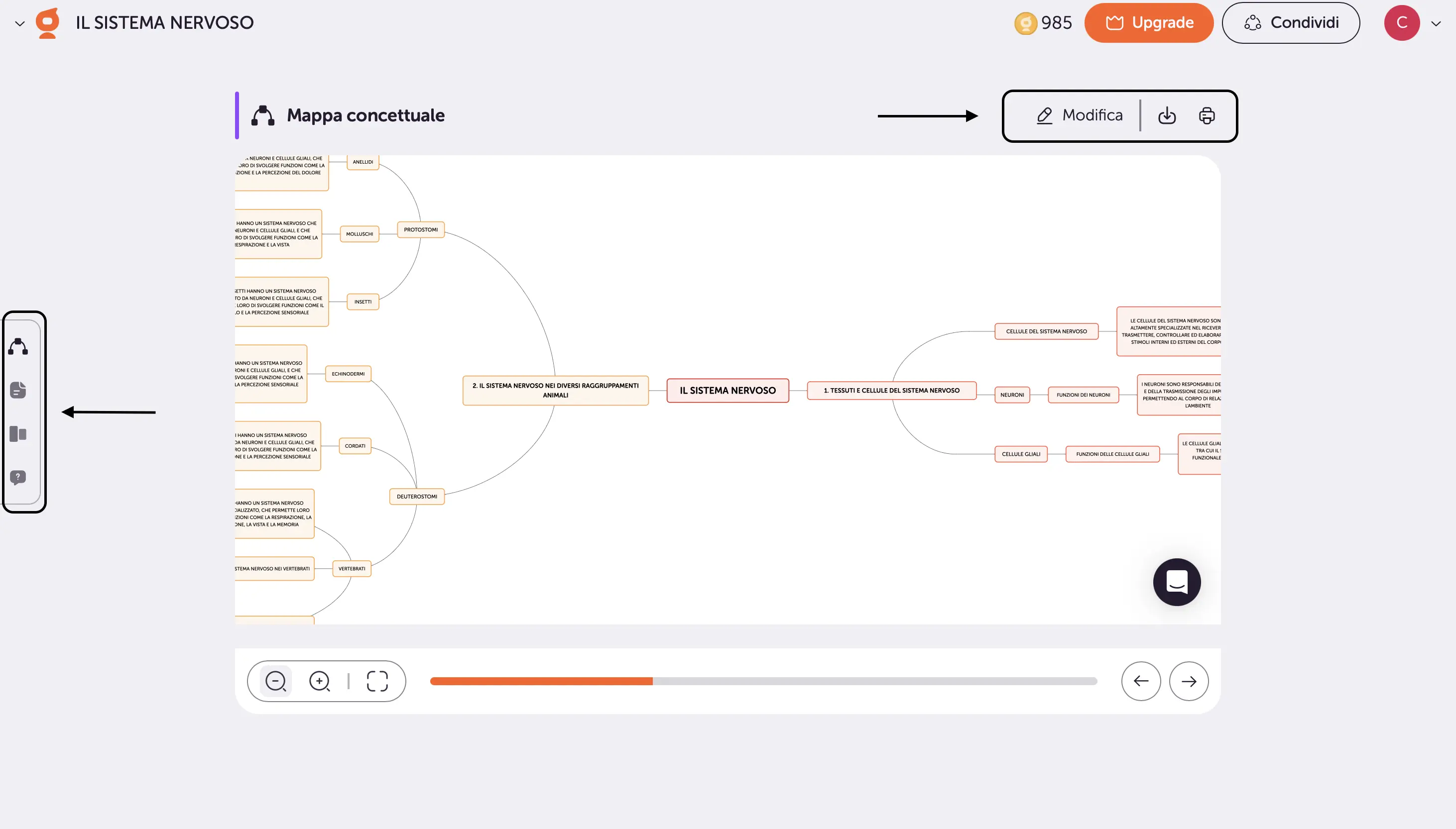 Algor Cards: come generare mappe, riassunti e flashcards dal tuo testo ...