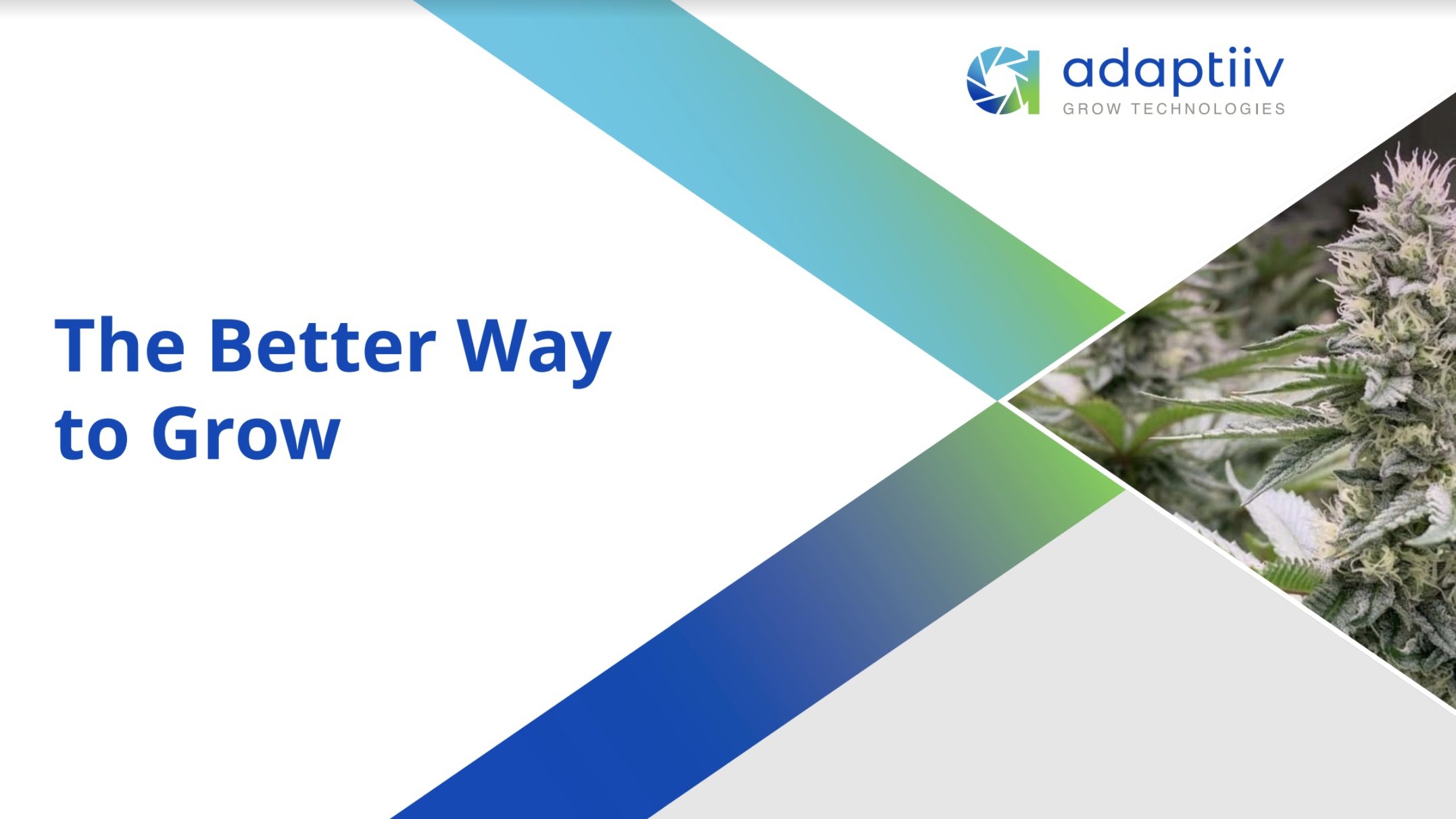 About Us | Adaptiiv Grow Technologies