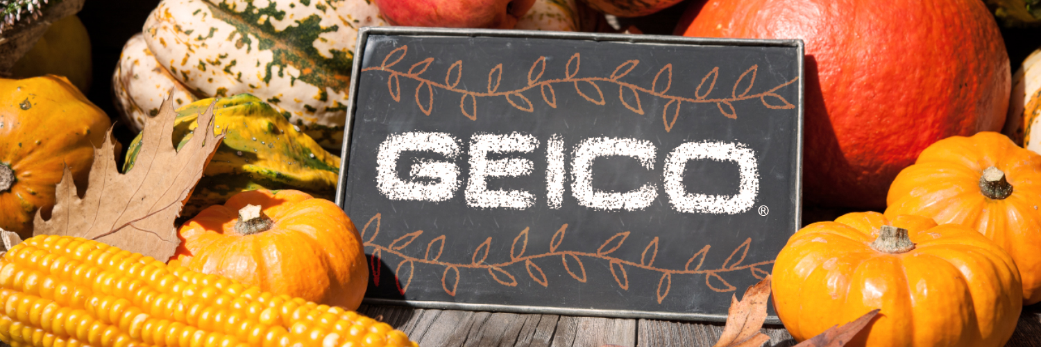 GEICO Insurance Agent | Reviews & Ratings