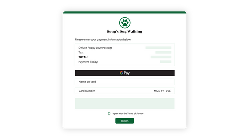 Payment Essentials - Getting Started Workshop