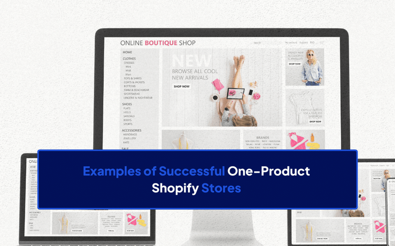 20 Examples of Successful One-Product Shopify Stores | Dropship