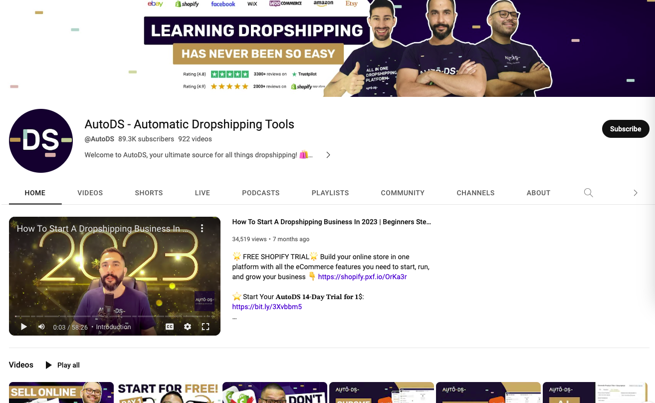 27 Best Dropshipping YouTubers to Learn Dropshipping From in 2024 ...