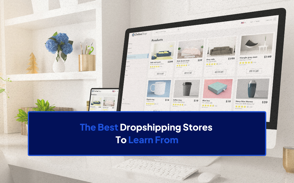 18 Best Dropshipping Stores to Learn From | Dropship