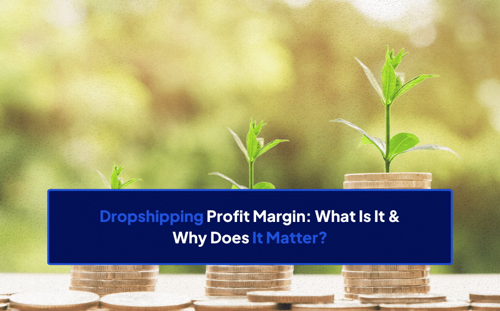 Dropshipping Profit Margin: What Is It and Why Does It Matter? | Dropship