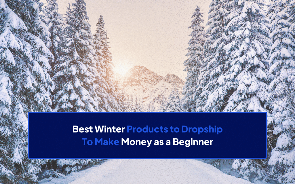 12 Best Winter Products to Dropship To Make Money as a Beginner | Dropship