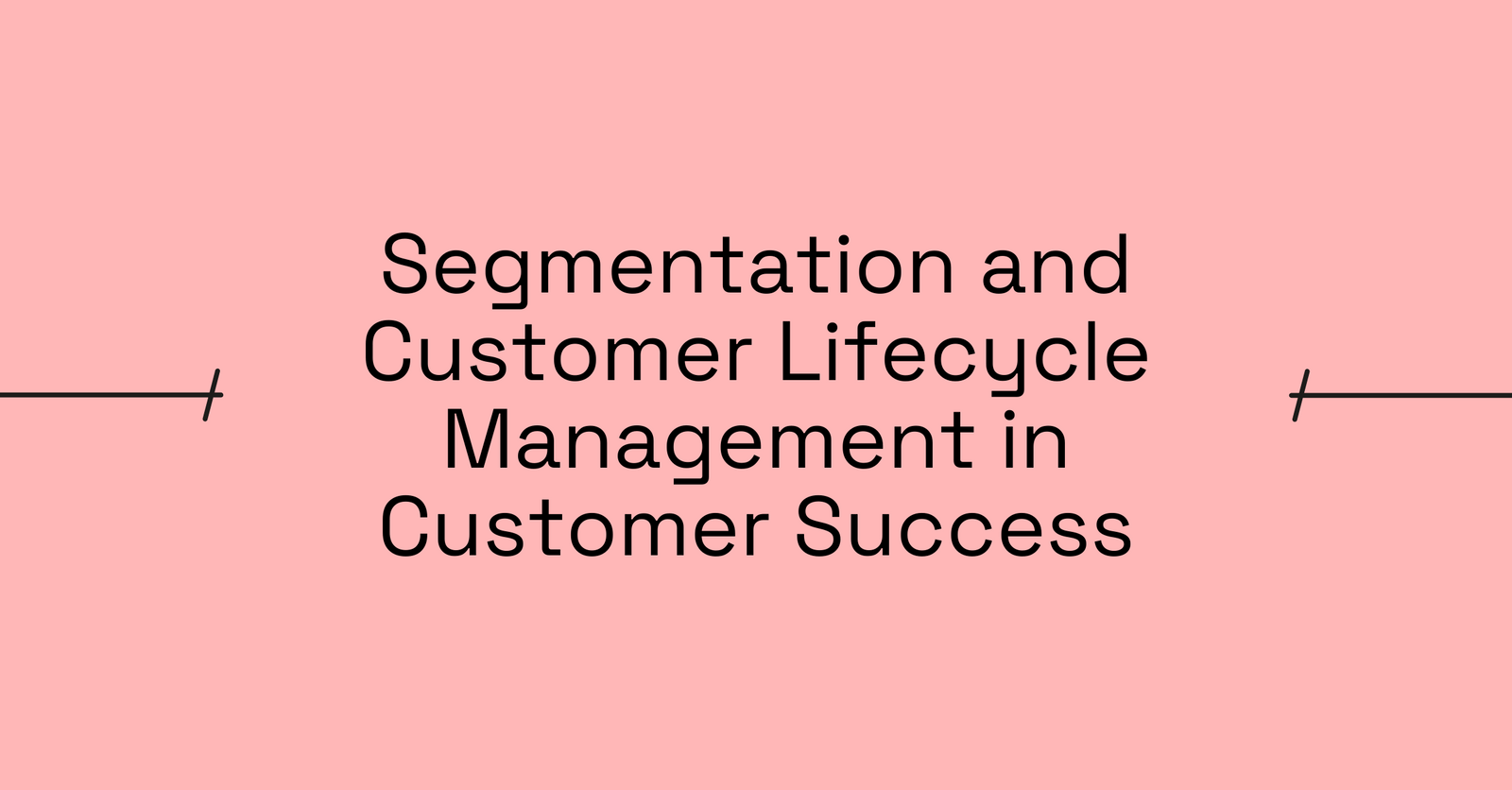 Segmentation and Customer Lifecycle Management in Customer Success ...