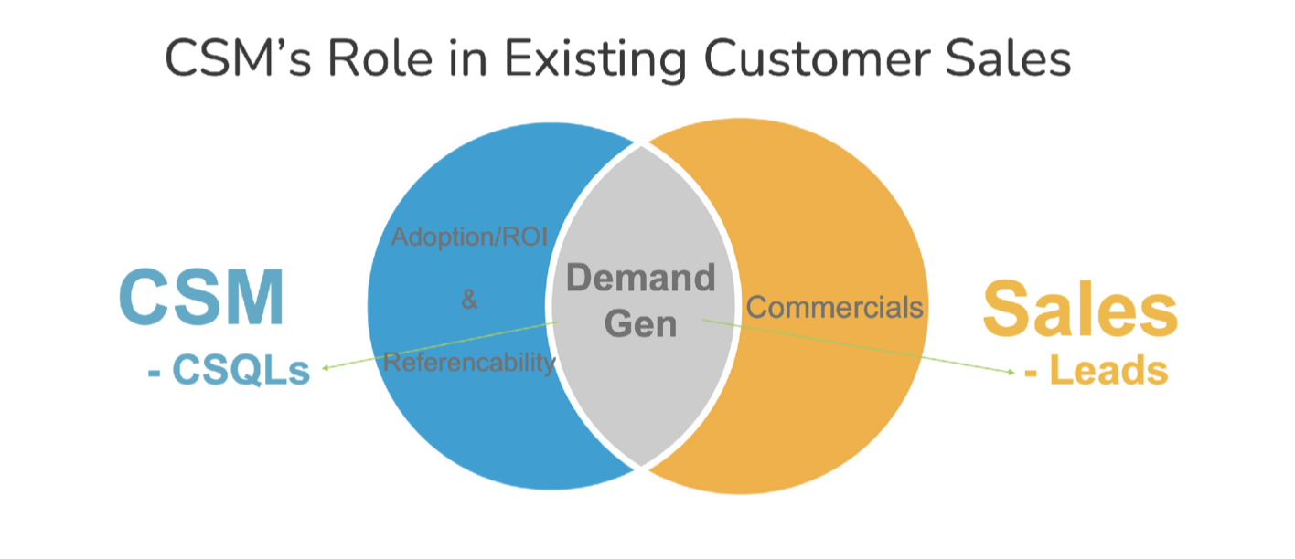Customer Success Compensation with Dan Steinman | Notion