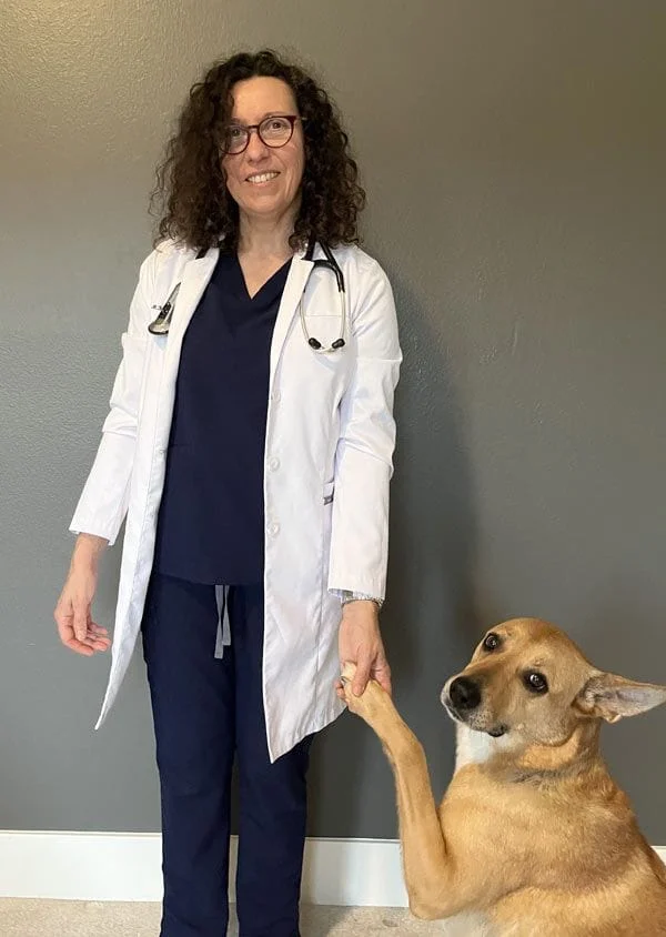 Meet Our Team | Dr. Ahrabi, DVM & Team