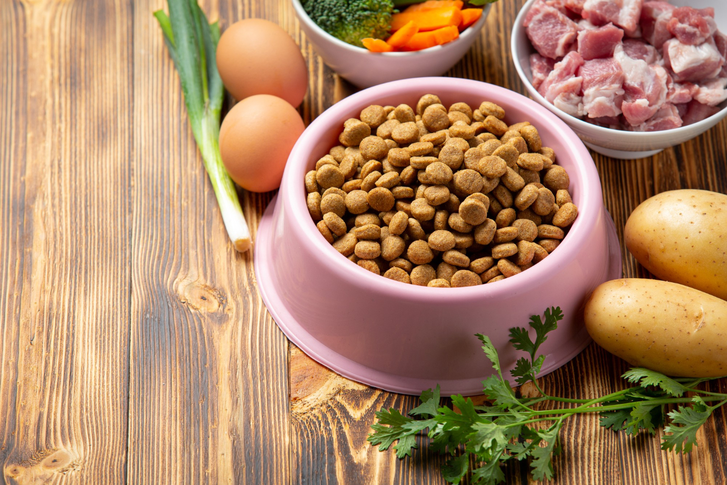 Pet Nutrition: Balancing Your Pet's Homemade Meals - Visit Kanan ...