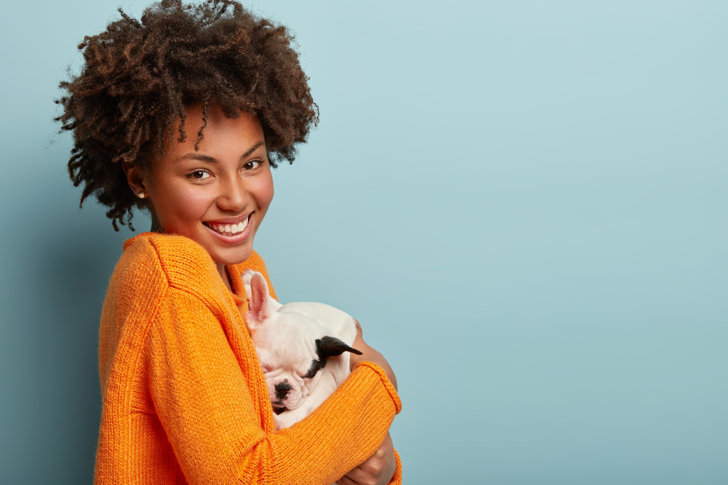 The Importance of Preventive Care for Pets: Kanan Veterinary Hospital's ...