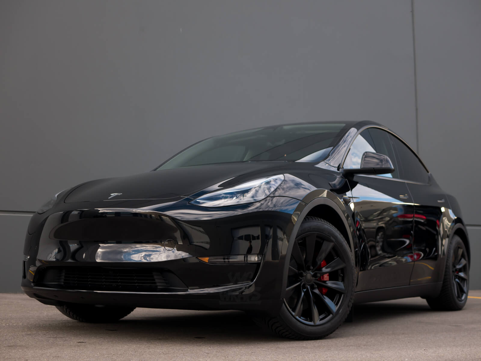 Tesla Model Y - Full Vehicle PPF