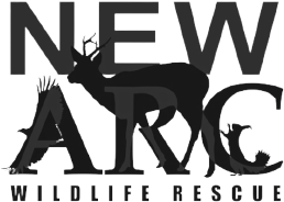 Customer success story: New Arc Wildlife Rescue | bOnline